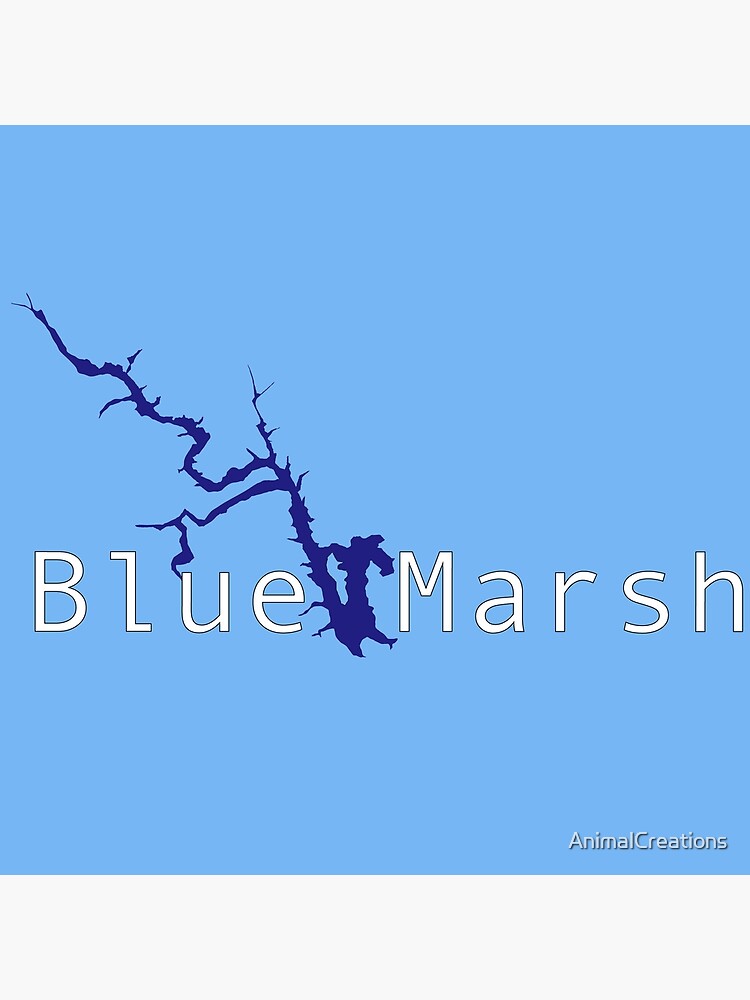 "Blue Marsh Lake, PA" Poster by AnimalCreations | Redbubble