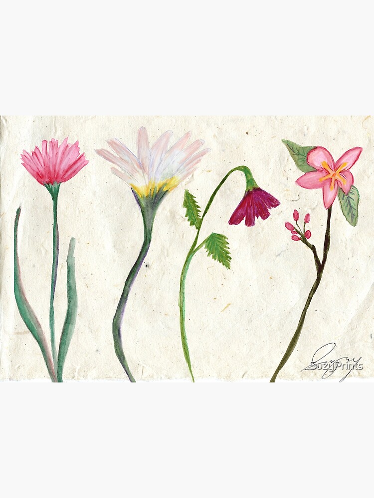 "Watercolour of Irish Wildflowers" Art Print for Sale by SuzyPrints ...