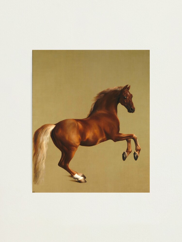 "George Stubbs - Whistlejacket" Photographic Print for Sale by ...