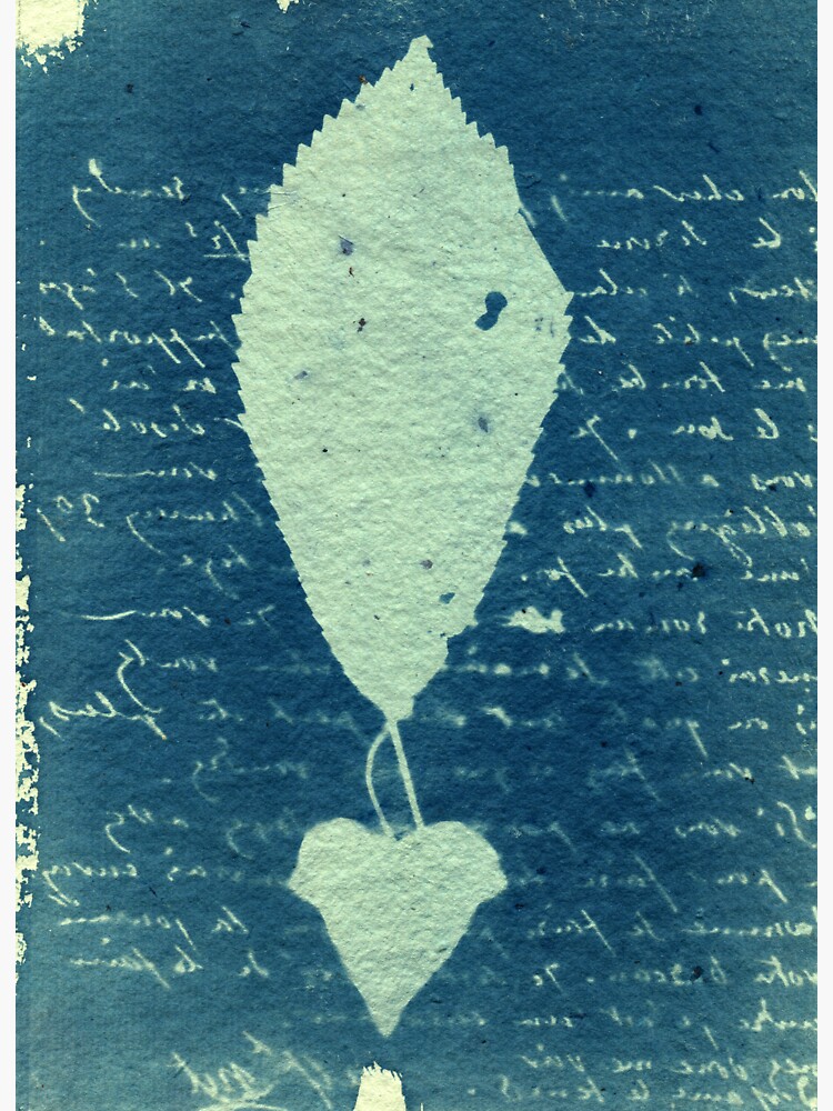"Botanical blue floral Cyanotype print 38" Sticker for Sale by ...