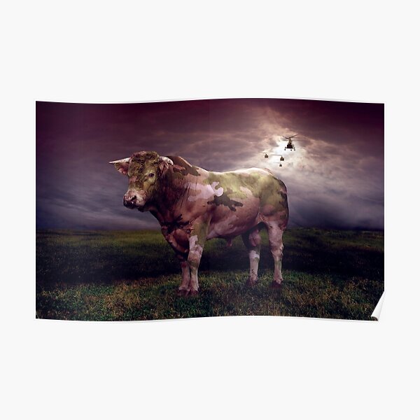 " Military Cow from Fonebook" Poster by Fonebook | Redbubble