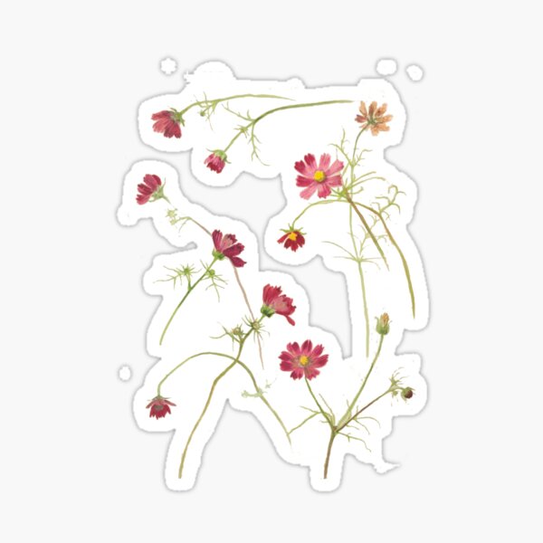 "Cosmos Flowers" Sticker for Sale by AbnormalDesign | Redbubble