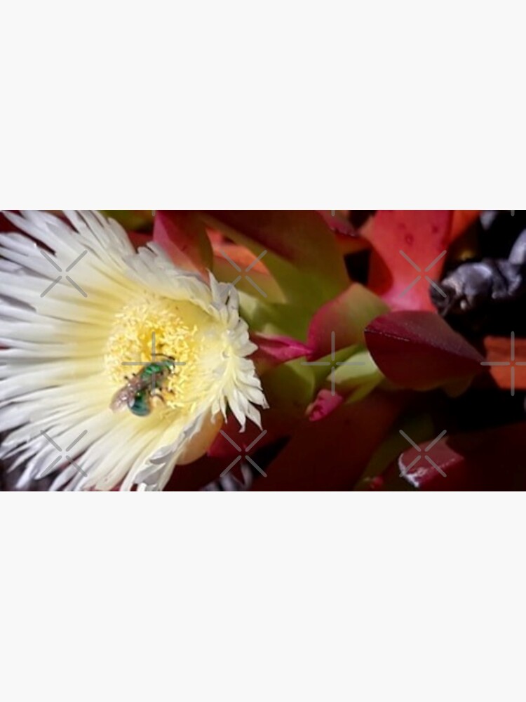 "Pollinator" Sticker for Sale by craftsbydaphy | Redbubble