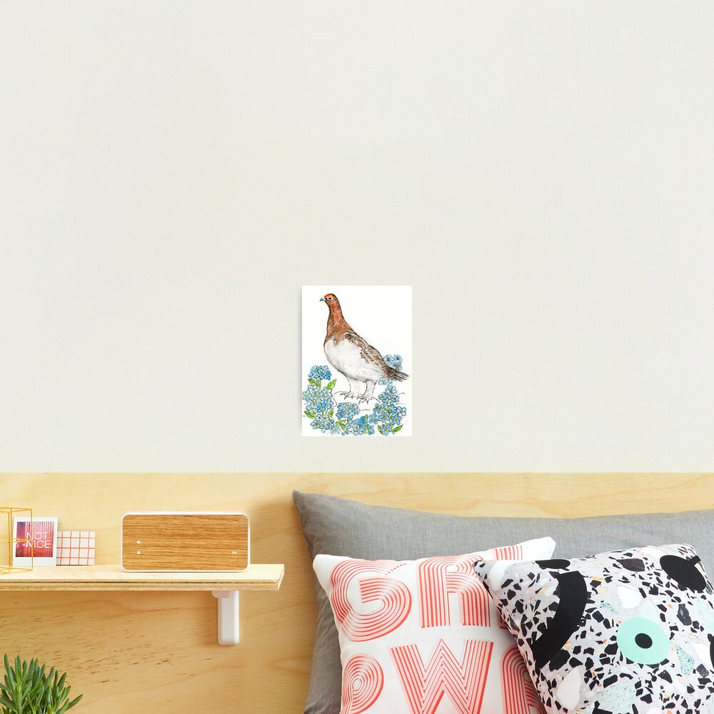 "Alaska State Bird and Flower" Art Board Print for Sale by anniem49 ...