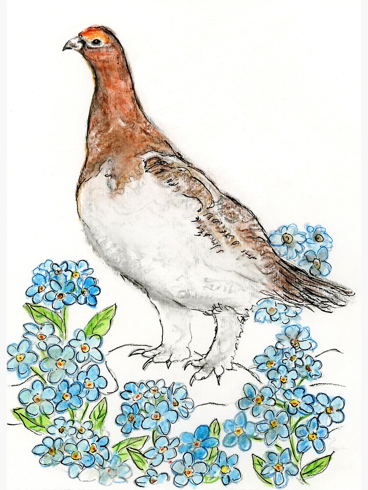 "Alaska State Bird and Flower" Art Board Print for Sale by anniem49 ...