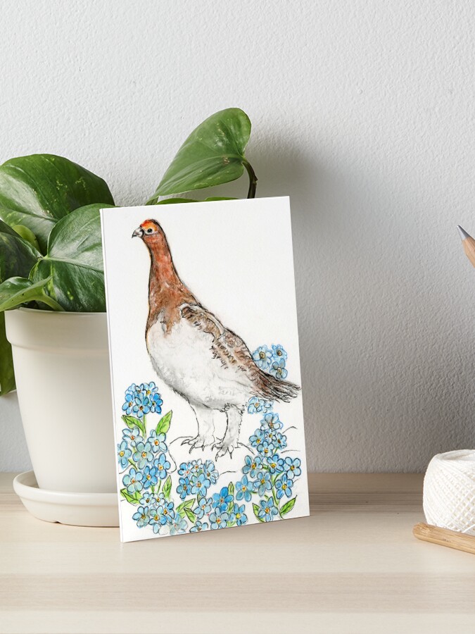 "Alaska State Bird and Flower" Art Board Print for Sale by anniem49 ...