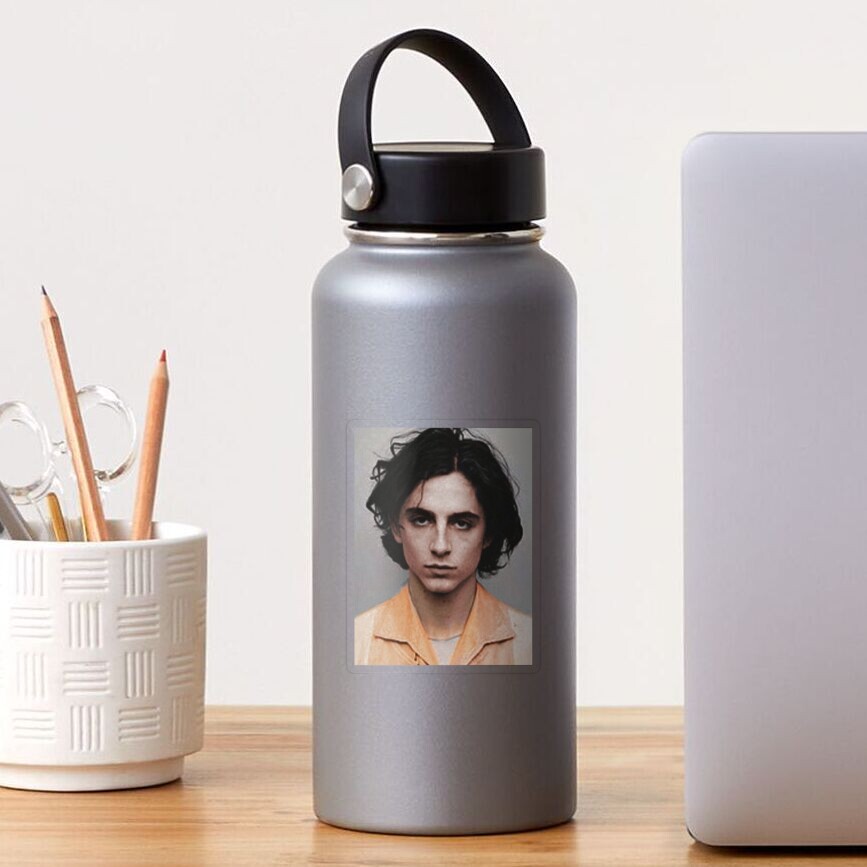 "Timothee Chalamet Mugshot" Sticker for Sale by geis190 | Redbubble