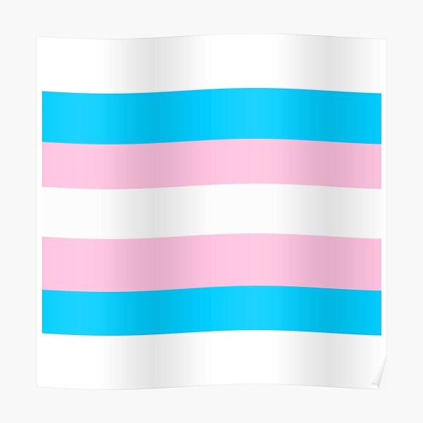 "Trans Flag" Poster for Sale by JMDesignHouse | Redbubble