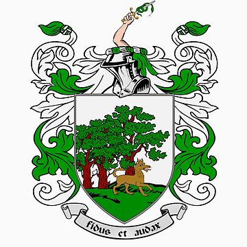 "Callahan Family Crest with Motto" Scarf for Sale by Dorothy Callahan ...