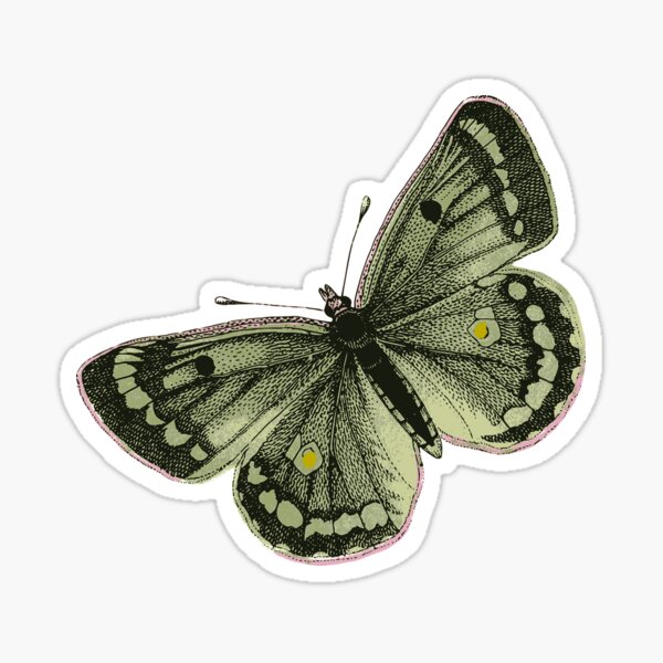 "Green Butterfly" Sticker for Sale by annmargaret13 | Redbubble