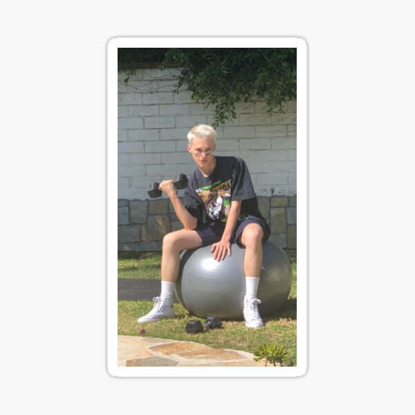 Ryan Beatty Stickers | Redbubble