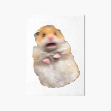 "Screaming Hamster Meme" Art Board Print by Luna7 | Redbubble