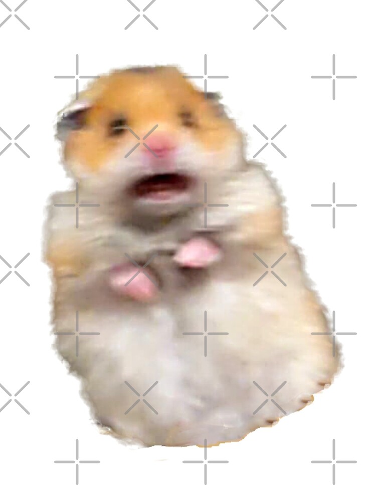 "Screaming Hamster Meme" Poster by Luna7 | Redbubble