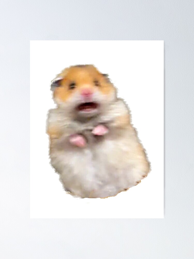 "Screaming Hamster Meme" Poster by Luna7 | Redbubble