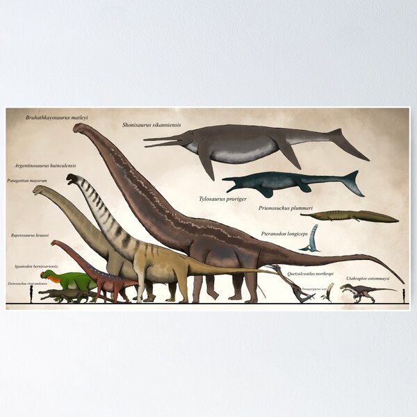 "Prehistoric giants size comparison" Poster for Sale by Iguana-drawn ...