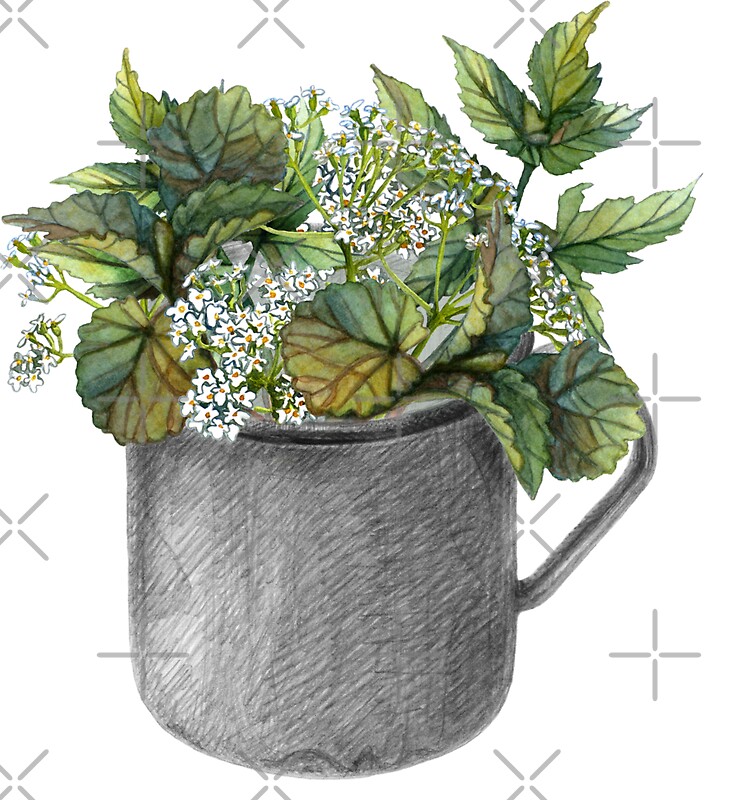 Weed: Stickers | Redbubble