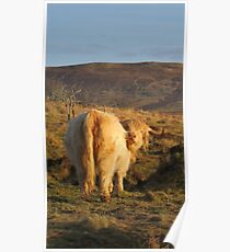 Highlander: Gifts & Merchandise | Redbubble