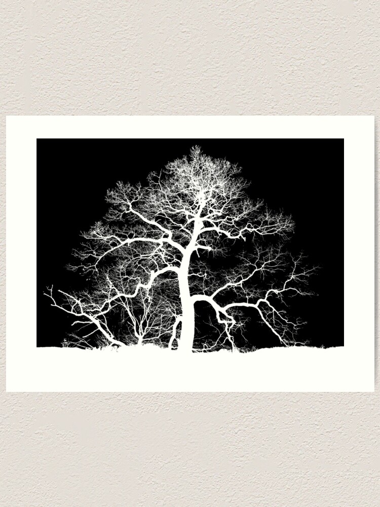 "Skeleton Tree" Art Print by jgevans | Redbubble