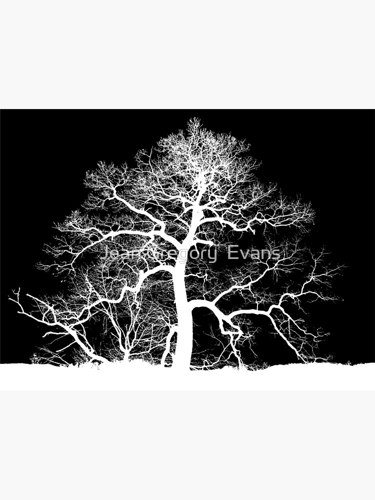"Skeleton Tree" Art Print by jgevans | Redbubble