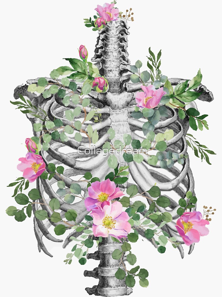 " Anatomy, ribcage, rib cage,skeleton pink roses" Sticker for Sale by ...