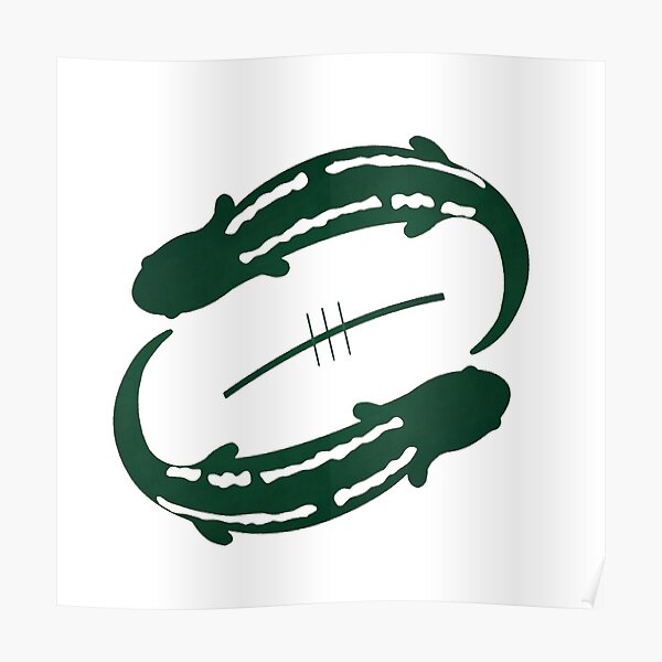 "Hellbender Rugby Logo" Poster by Hellbenders | Redbubble