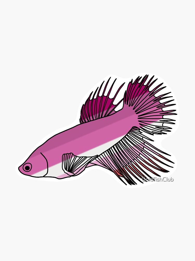"Lesbian Betta Fish Overlay" Sticker for Sale by GoldfishClub | Redbubble