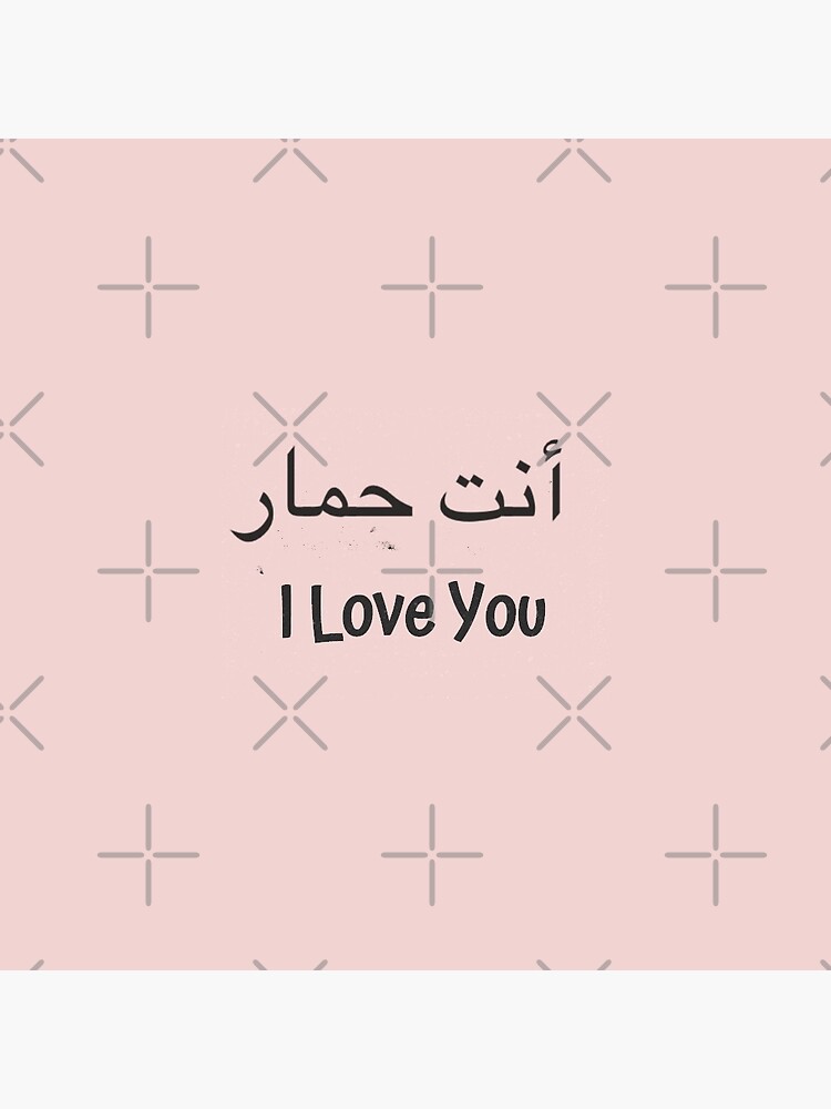 Arabic Rude Quotes Arabic Insults & Meanings (dialects With Audio!)