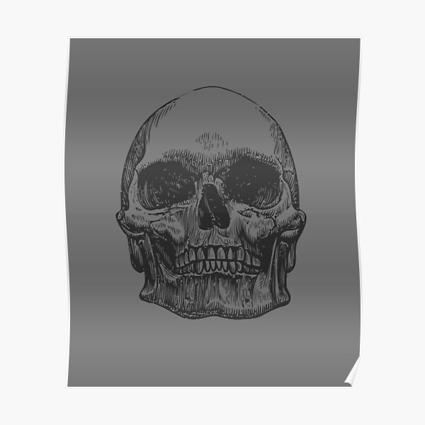 "Anatomical Skull" Poster for Sale by ThrowBack-Clot | Redbubble
