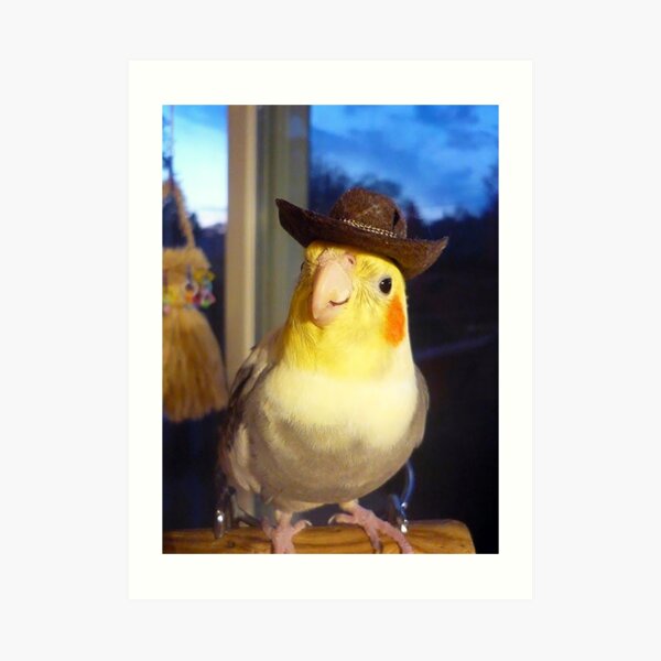 "Yeehaw Cowboy Bird Meme" Art Print by resetbios | Redbubble