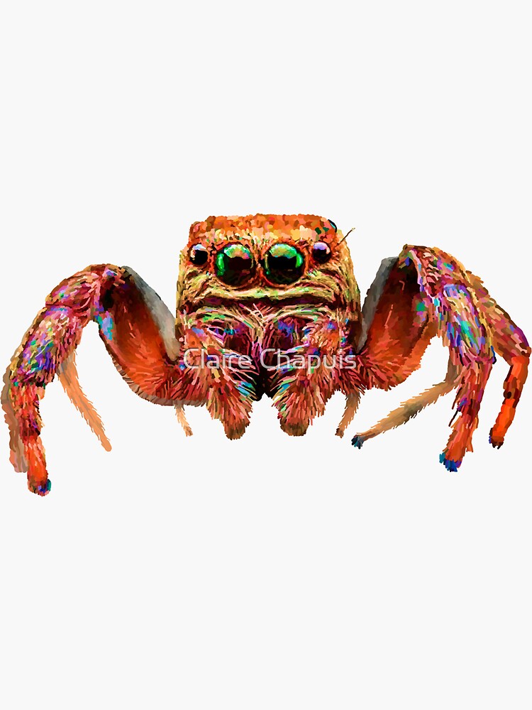 "Spider Psychedelic" Sticker for Sale by ClaireCrisci | Redbubble