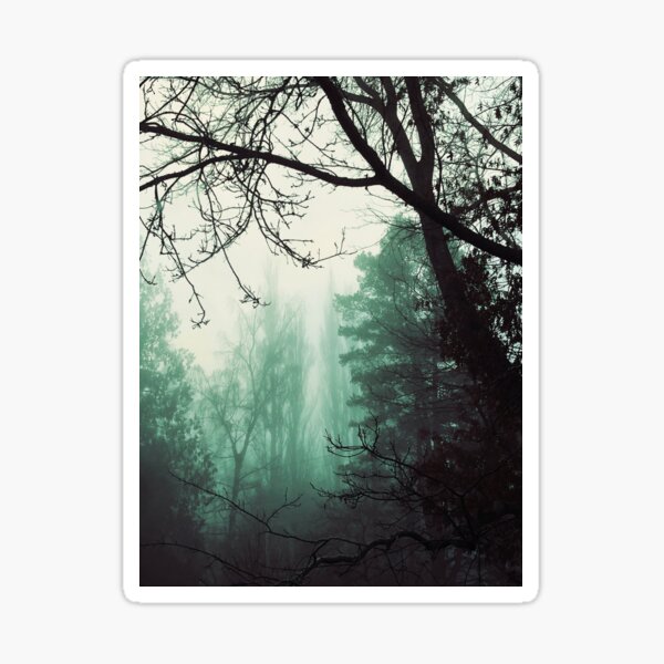 "Mysterious Fog" Sticker by likovacs | Redbubble