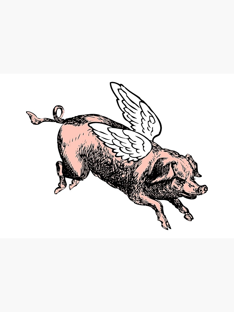 Lámina fotográfica «Cerdo con Alas | Flying Pig | Cuando los cerdos ...