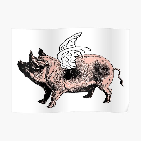 Póster «Cerdo con Alas | Flying Pig | Cuando los cerdos vuelan | Cerdos ...
