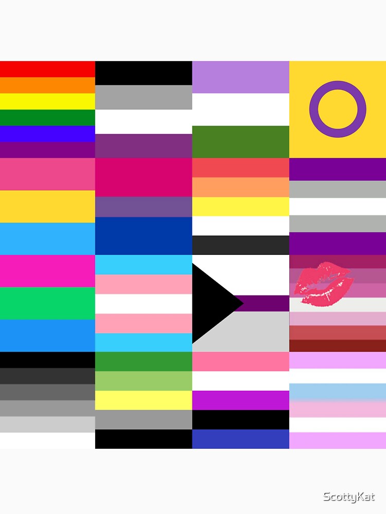 "LGBT Pride Flags Collage" T-shirt for Sale by ScottyKat | Redbubble ...