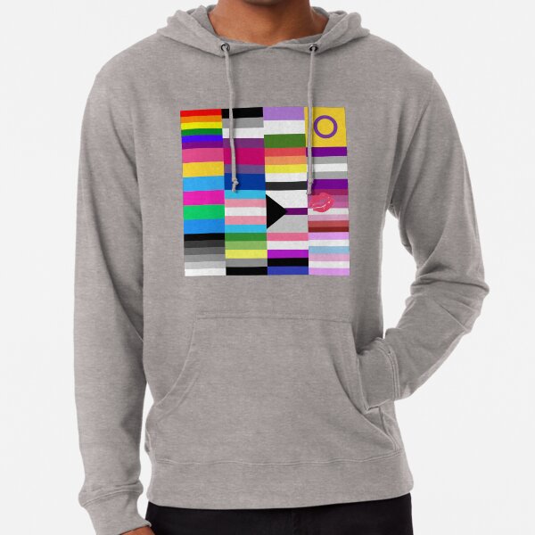 Lgbt Pride Flags Collage Lightweight Hoodie For Sale By Scottykat