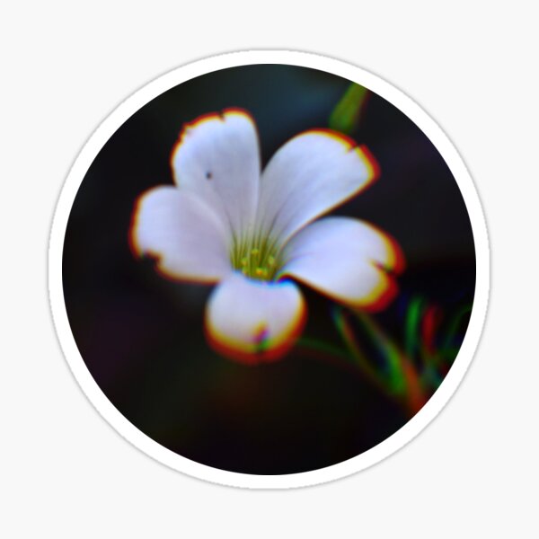 "Flower 3D Effect" Sticker for Sale by CokeyPanda | Redbubble
