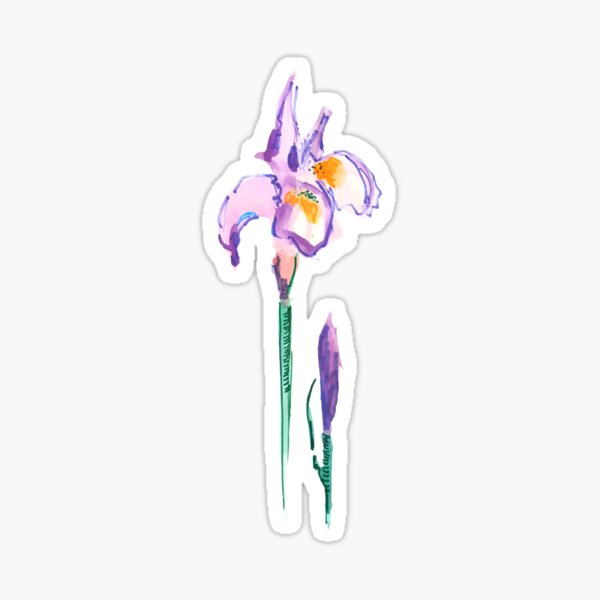 "Iris Flower" Sticker for Sale by Moojan Azar | Redbubble
