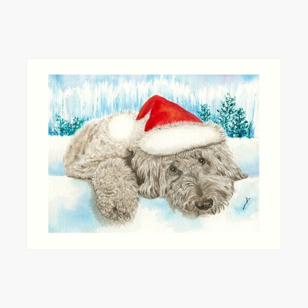 Labradoodle Art Prints | Redbubble