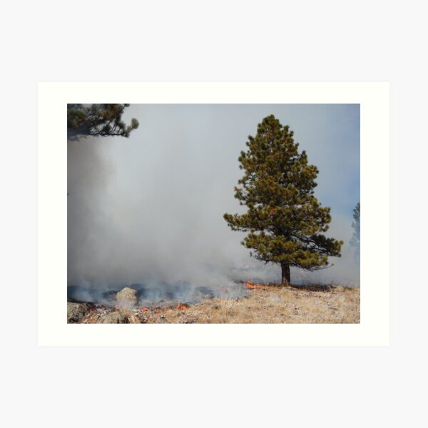 Wildland Fire Art Prints | Redbubble