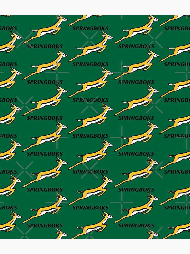 Springboks Rugby - 2019 Springbok Rugby World Cup Champions Backpack ...
