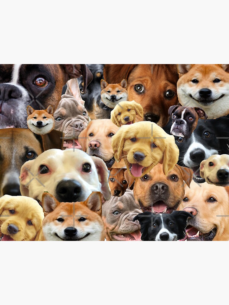 "Dogs collage" Sticker by sim480 | Redbubble