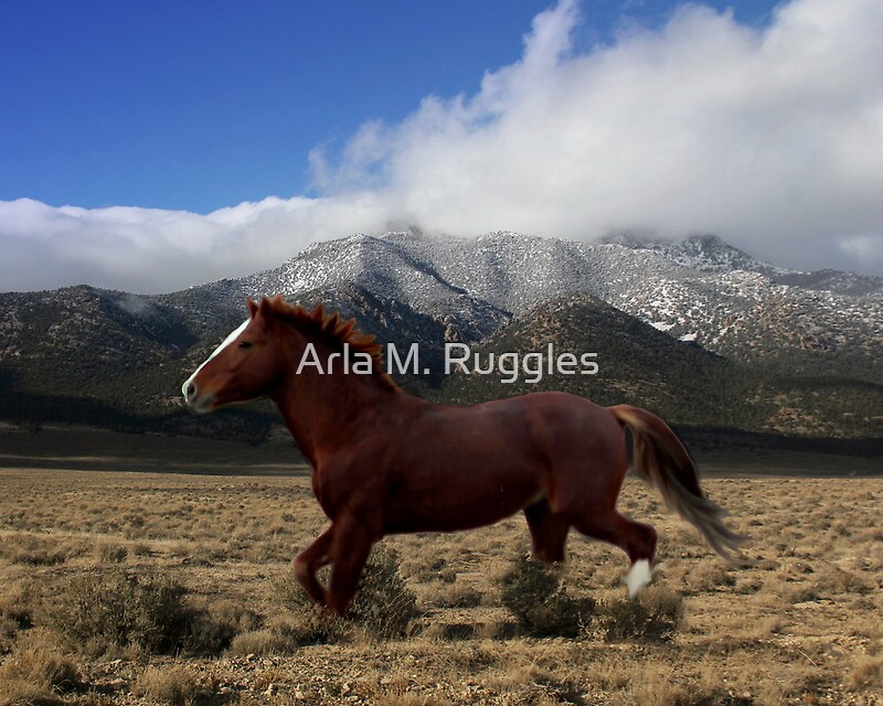 "Legendary Red" by Arla Ruggles | Redbubble
