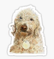 Labradoodle: Stickers | Redbubble