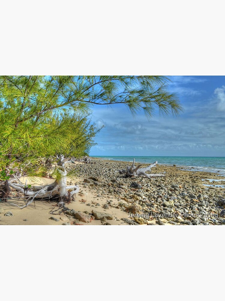 "St Andrews Beach at Yamacraw on Eastern Nassau in The Bahamas" Poster ...