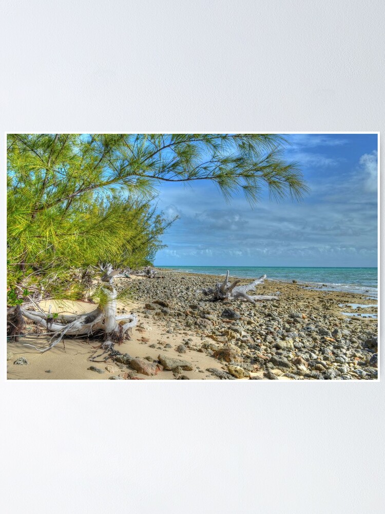 "St Andrews Beach at Yamacraw on Eastern Nassau in The Bahamas" Poster ...