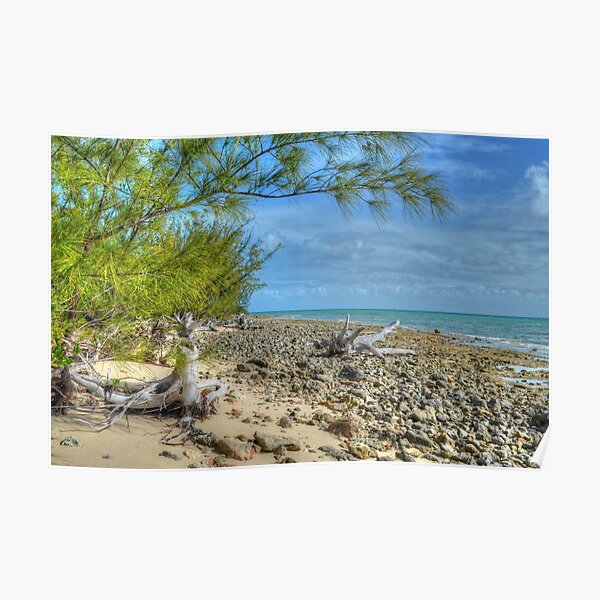 "St Andrews Beach at Yamacraw on Eastern Nassau in The Bahamas" Poster ...