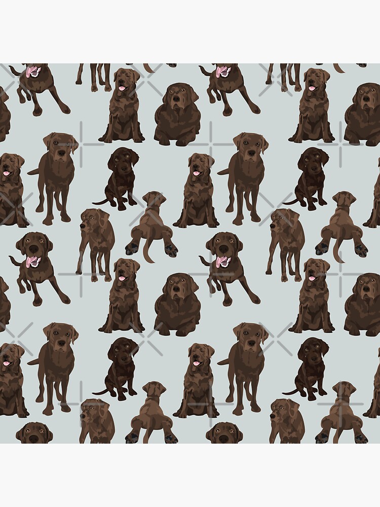 "Chocolate Labrador" Sticker for Sale by ArtofACoonhound | Redbubble