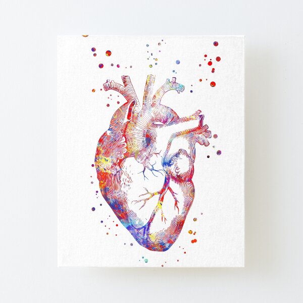 Lámina montada for Sale con la obra «Corazón humano, anatomía del ...