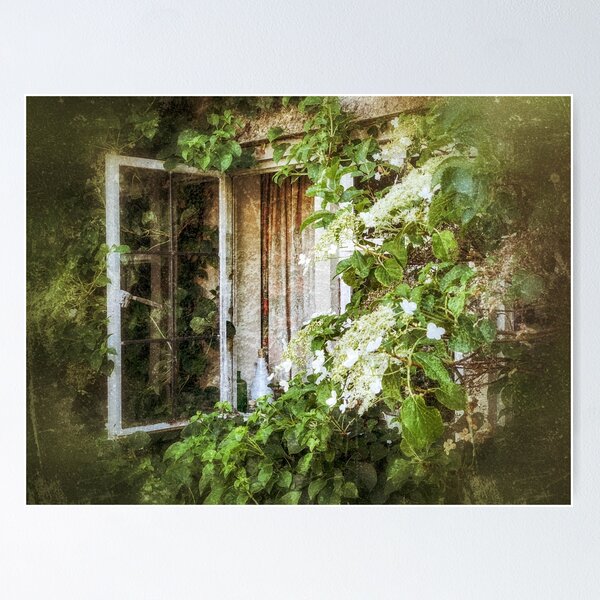 "The Open Window" Poster for Sale by Jeff Wilson | Redbubble