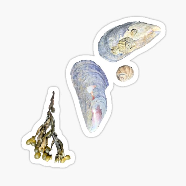 "Barnacle shells and Seaweed " Sticker for Sale by YeetMeToDaMoon ...